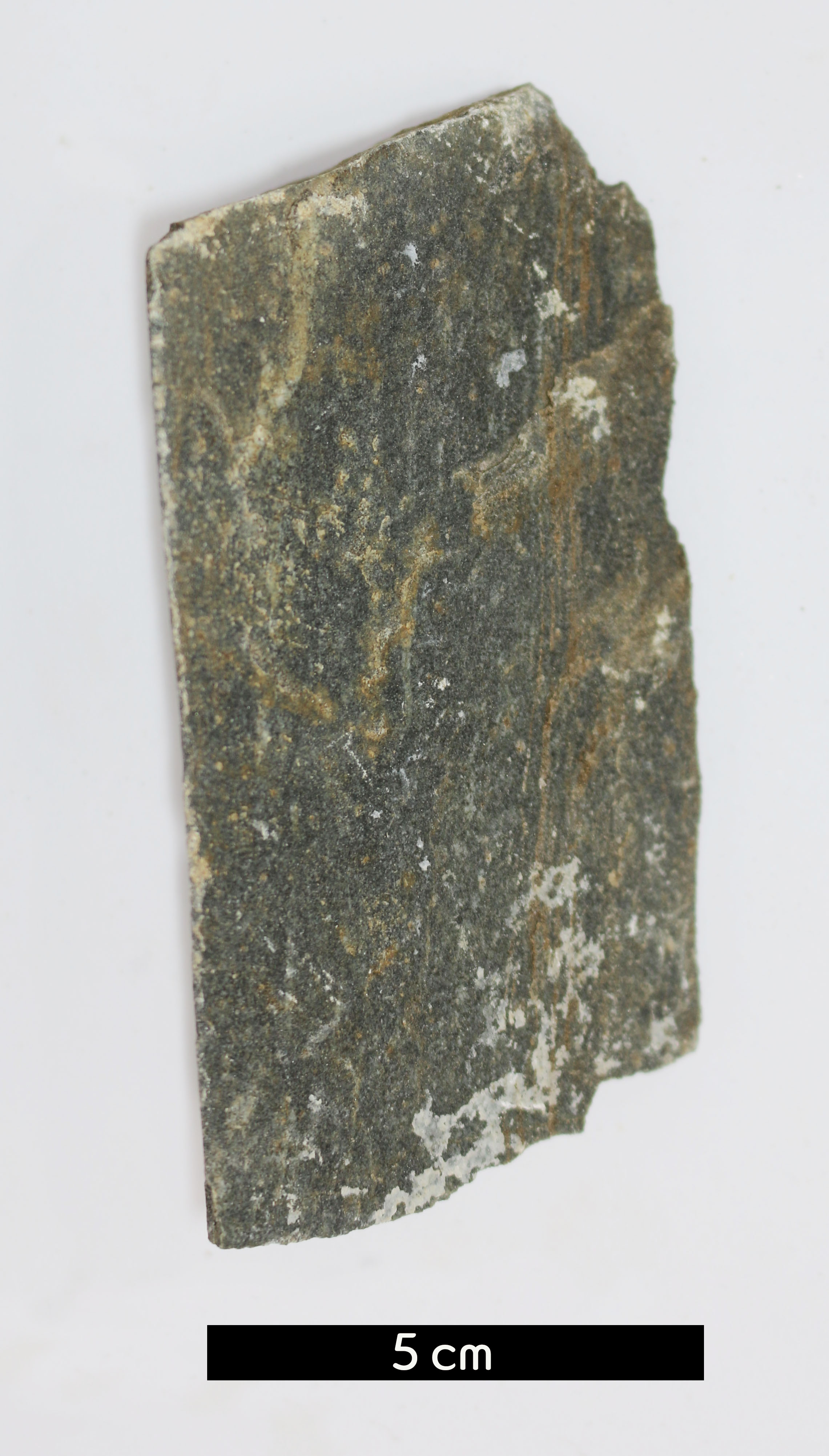 데이터셋 : 변성암(변성사질암(Metapsammite)_M-149)