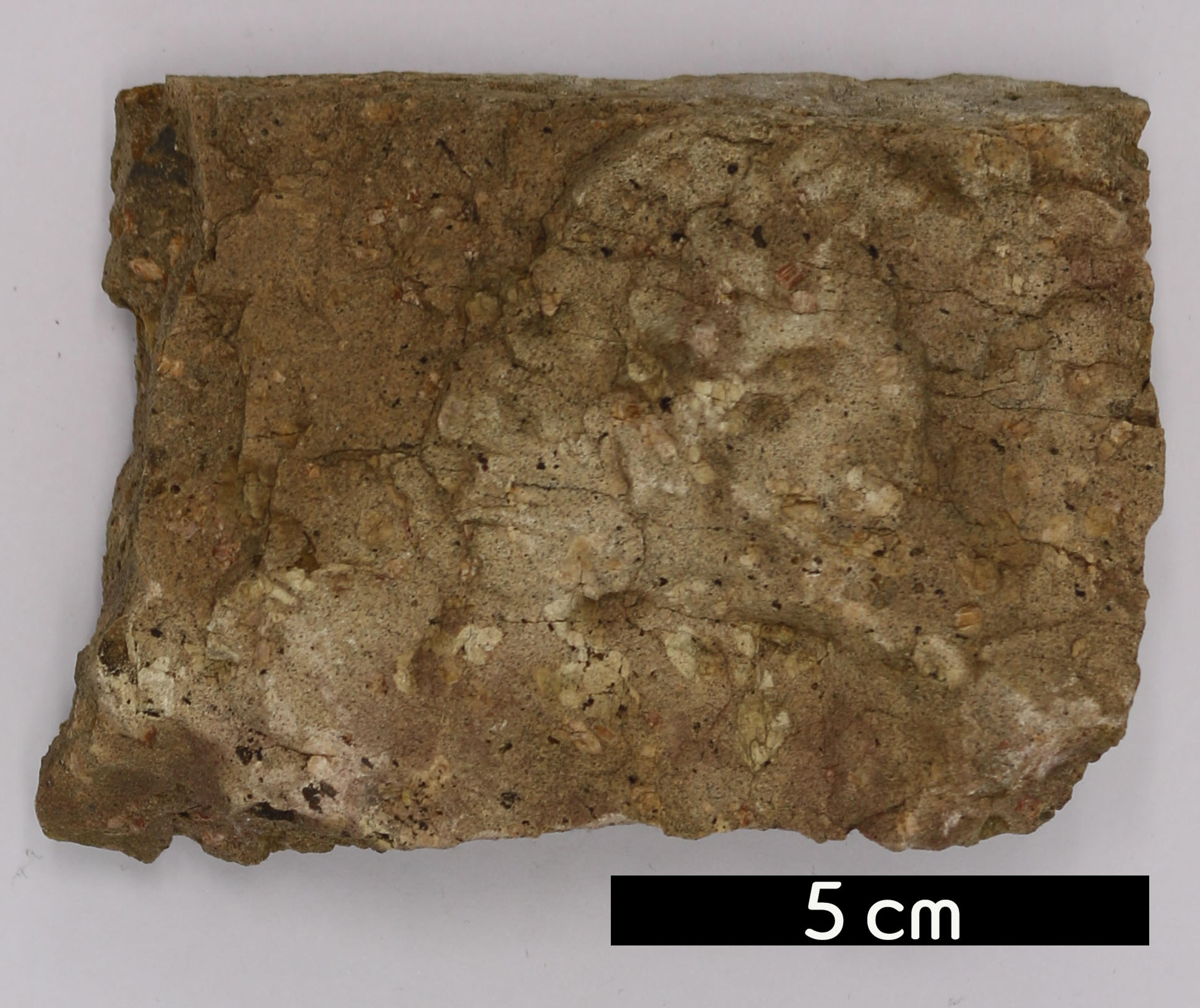 데이터셋 : 화성암(조면반암(보스토나이트)(Trachyte porphyry(Bostonite))_I-131)